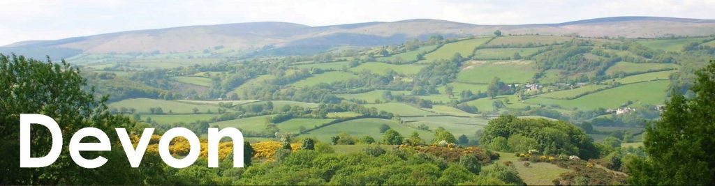 Devon – Wildlife Travel